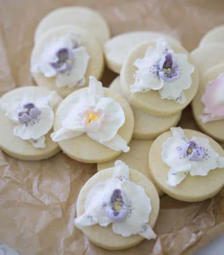 Sugar Cookie Recipe - Preppy Kitchen