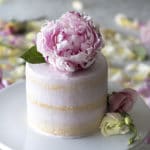 The BEST Vanilla Cake - Preppy Kitchen