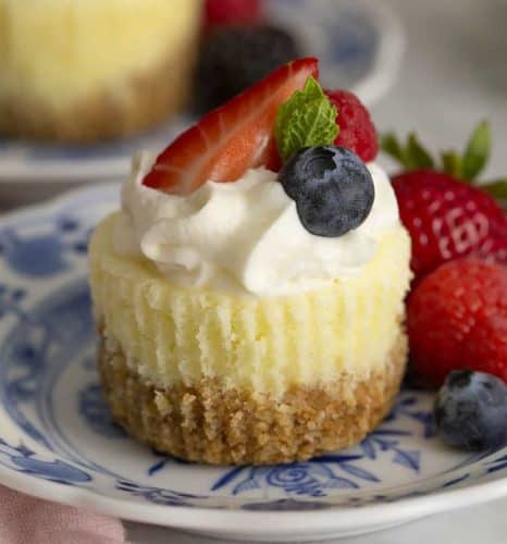 Fool-Proof Mini Cheesecakes (In a Muffin Pan) - Preppy Kitchen