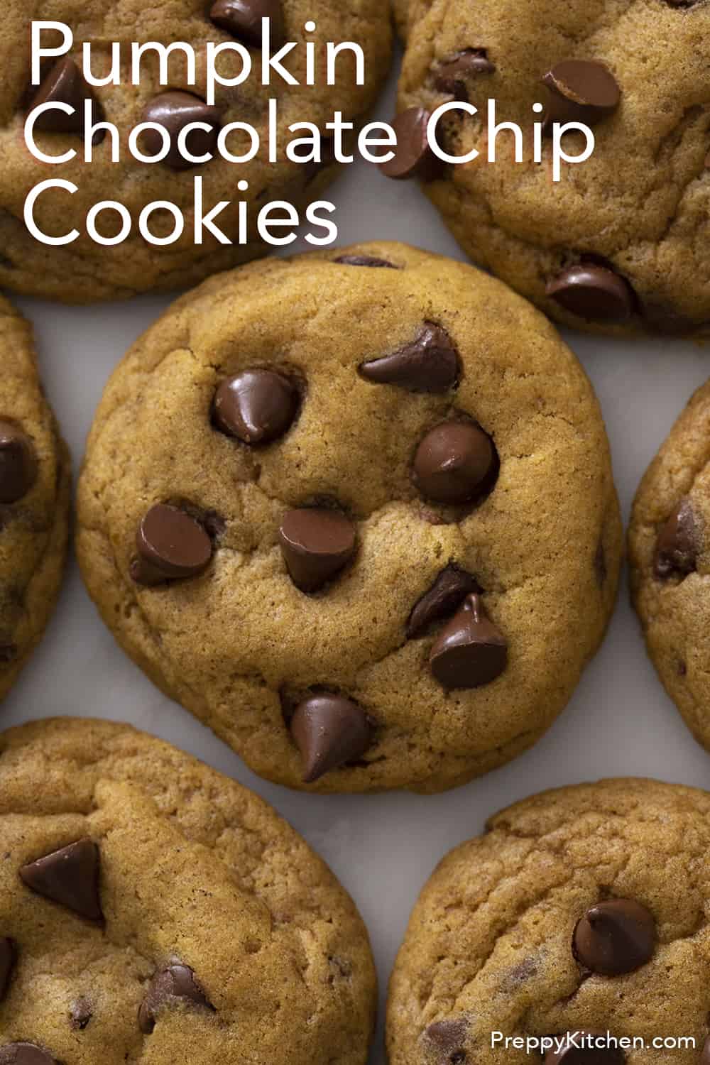 Pumpkin Chocolate Chip Cookies - Preppy Kitchen
