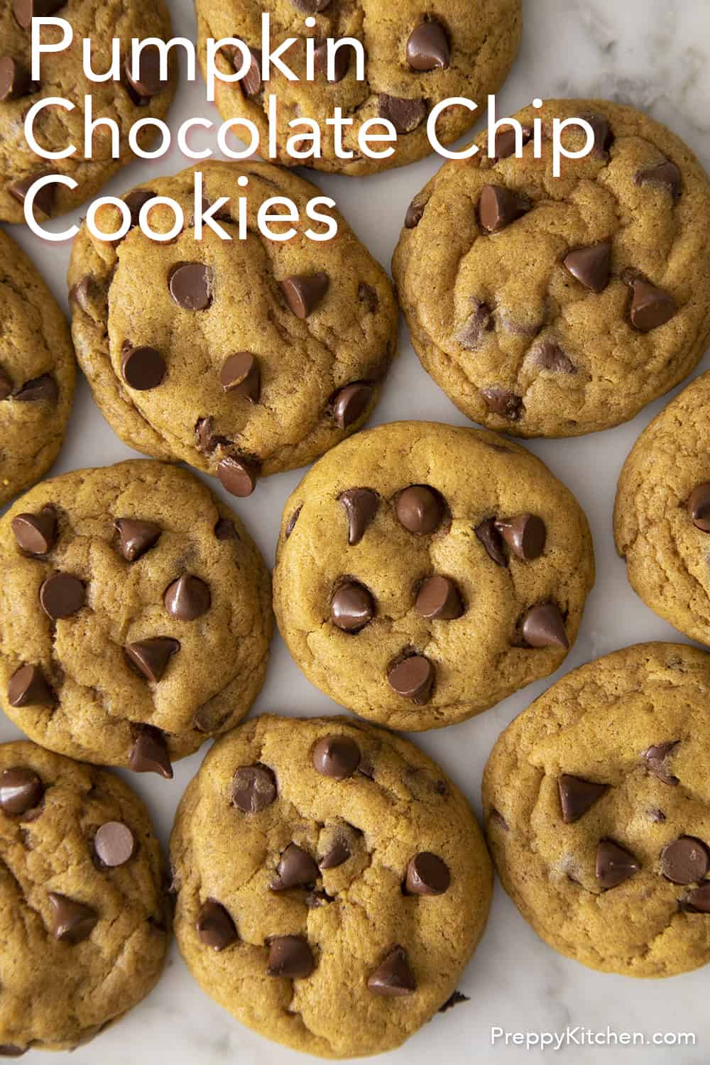 Pumpkin Chocolate Chip Cookies - Preppy Kitchen