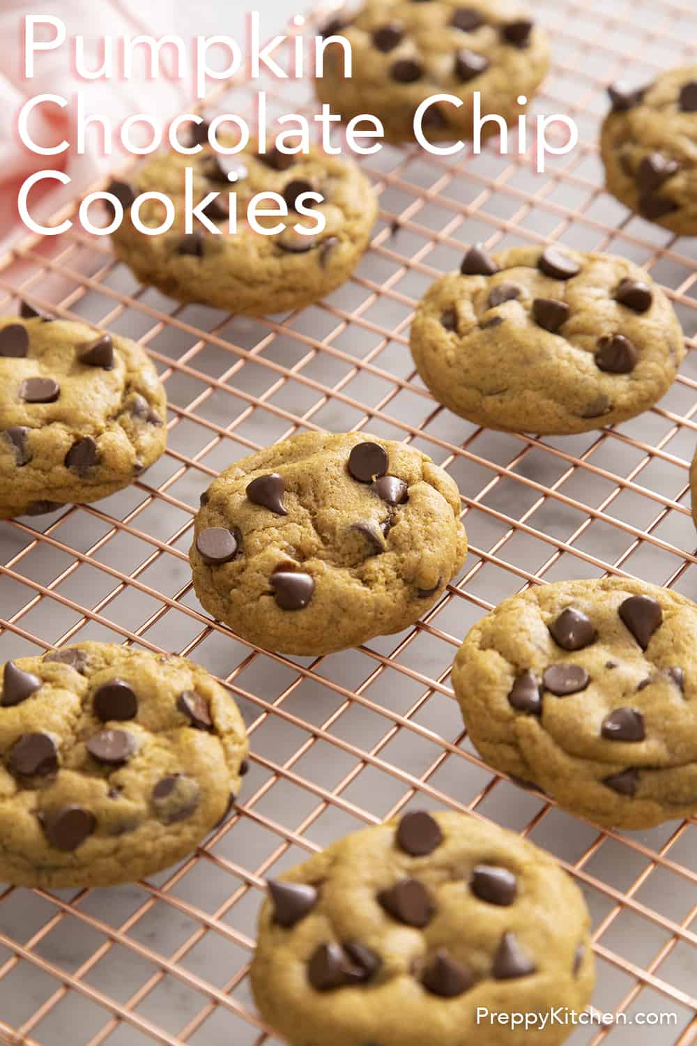 Pumpkin Chocolate Chip Cookies - Preppy Kitchen