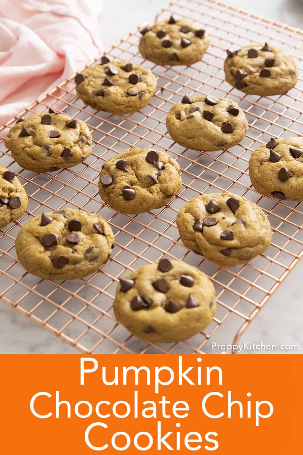 Pumpkin Chocolate Chip Cookies - Preppy Kitchen