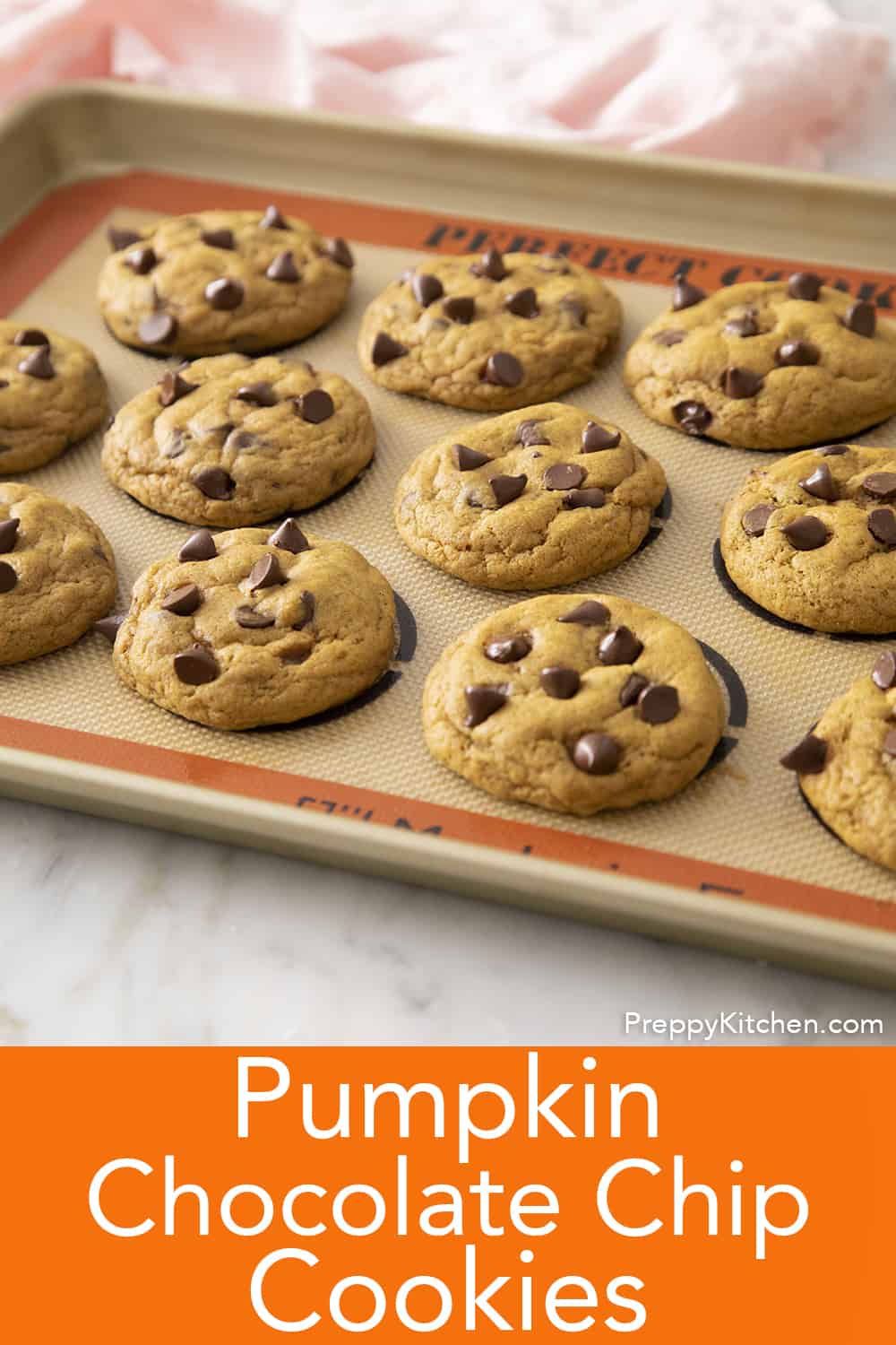 Pumpkin Chocolate Chip Cookies - Preppy Kitchen