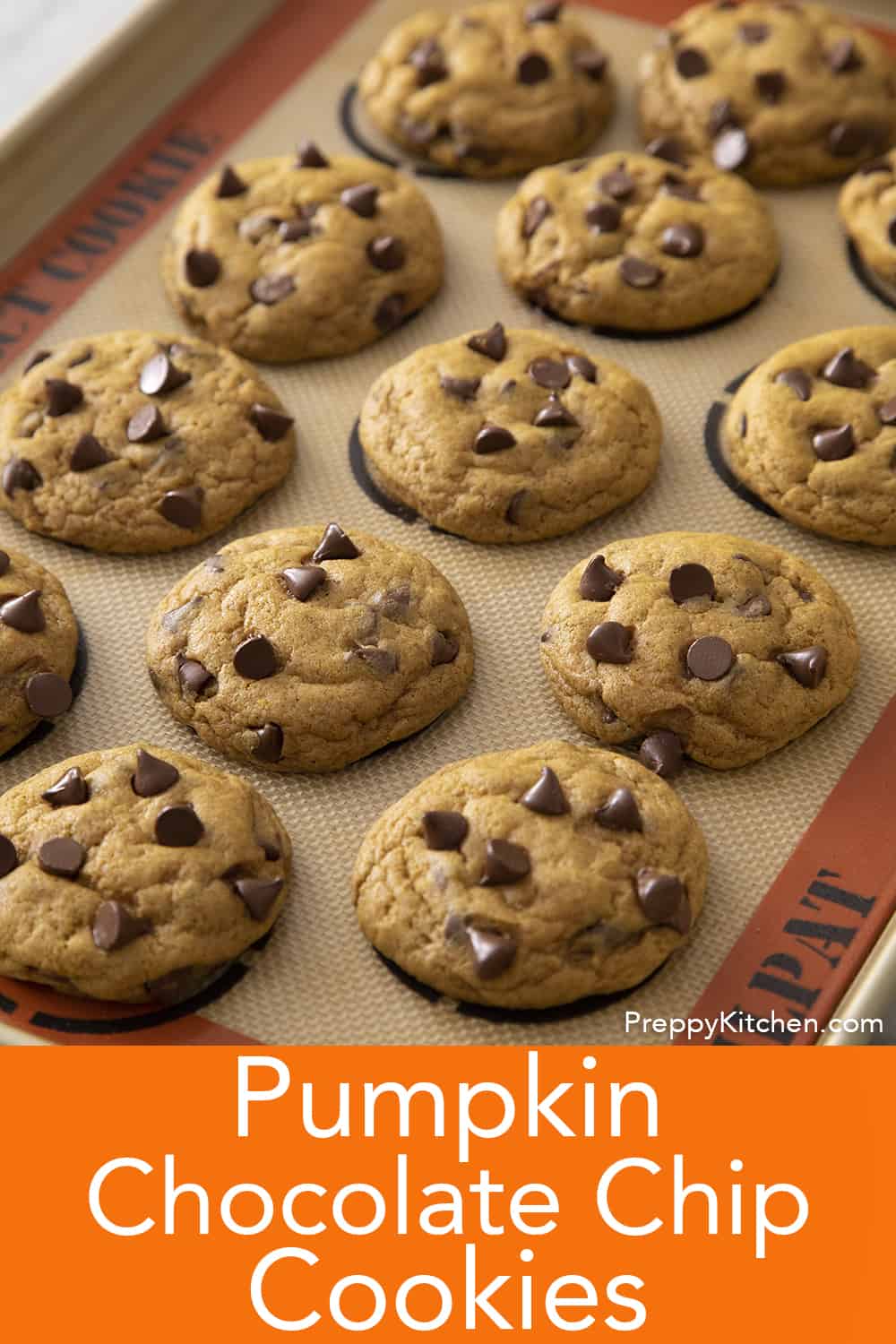 Pumpkin Chocolate Chip Cookies - Preppy Kitchen