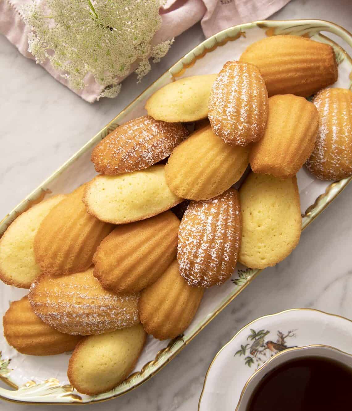 Madeleines Recipe - Preppy Kitchen