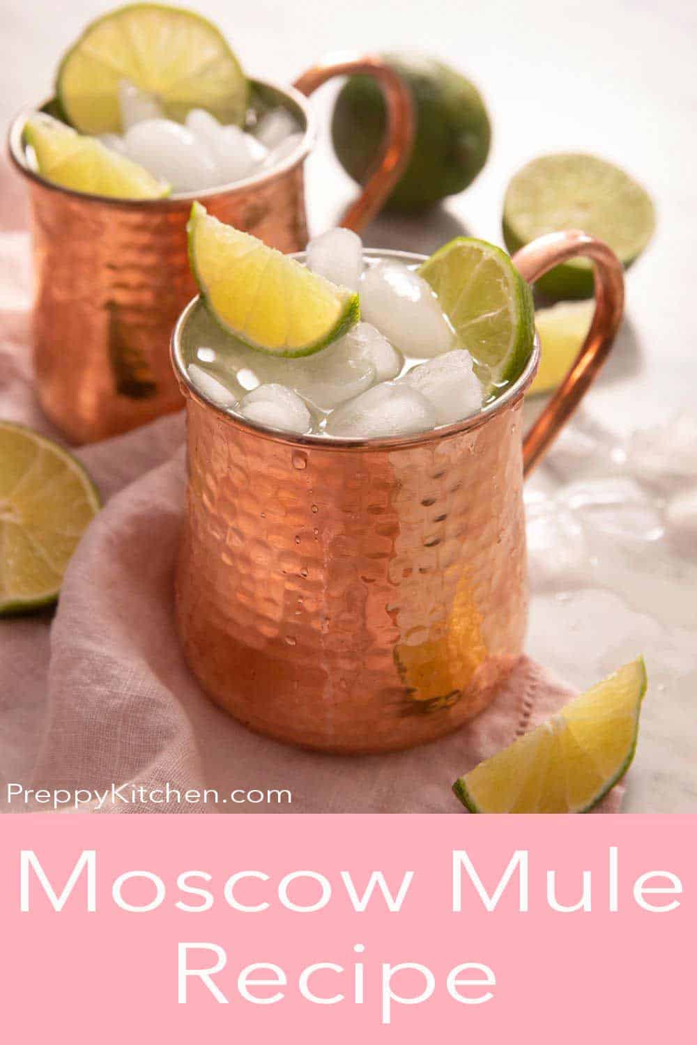 Moscow Mule Recipe - Preppy Kitchen