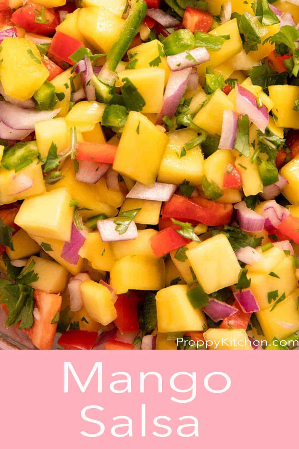 Mango Salsa - Preppy Kitchen