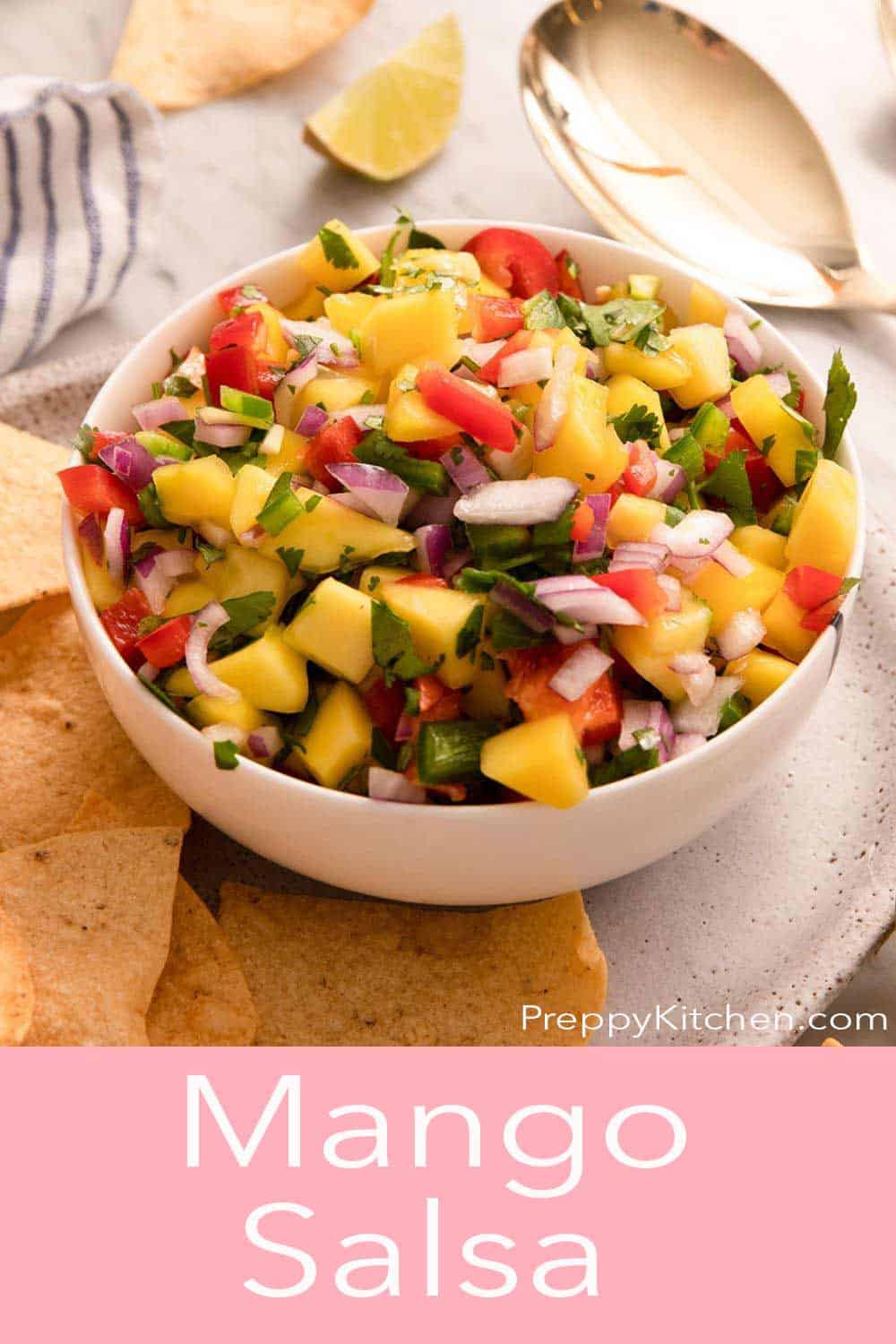 Mango Salsa - Preppy Kitchen