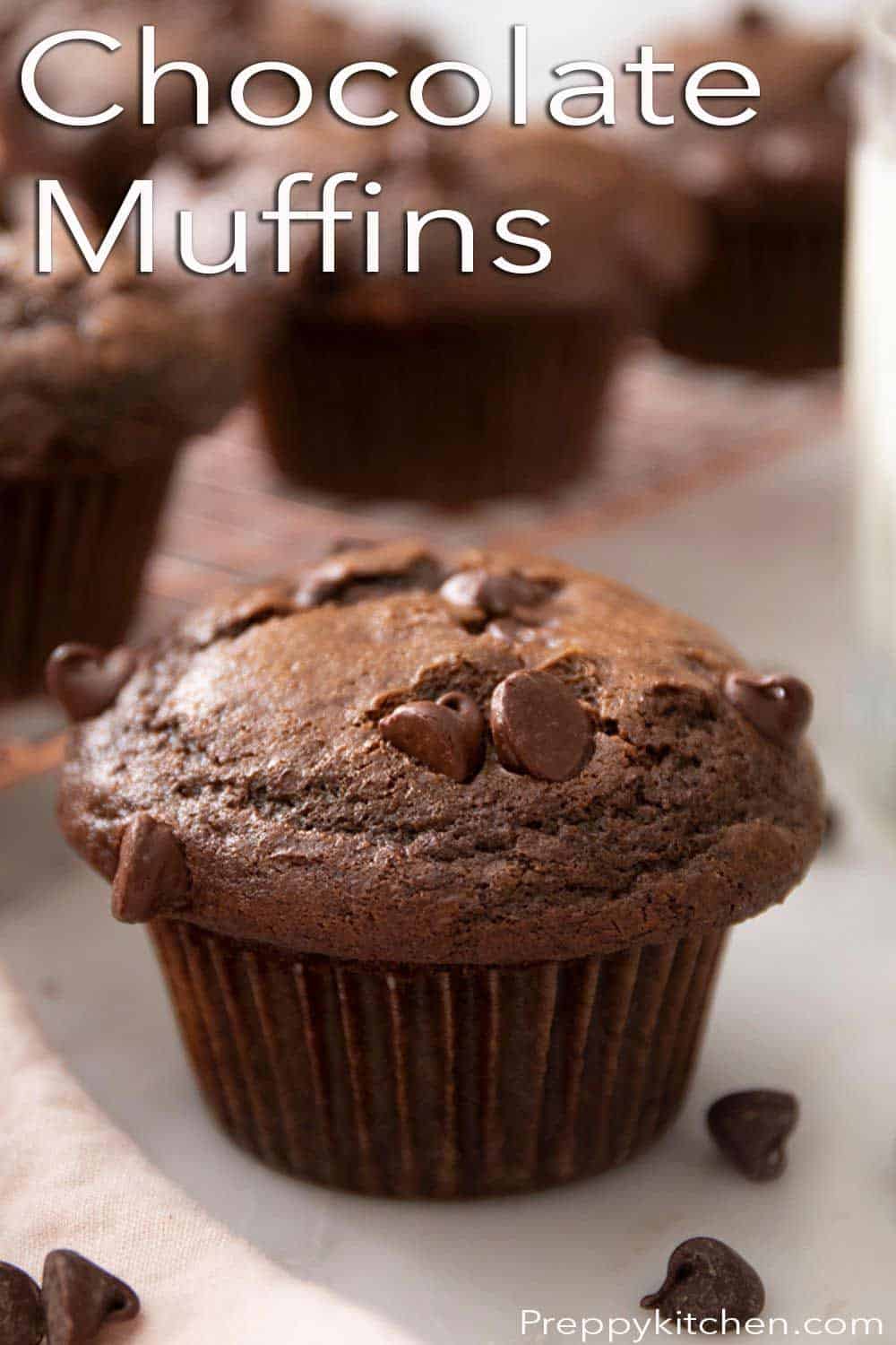 Chocolate Muffins - Preppy Kitchen