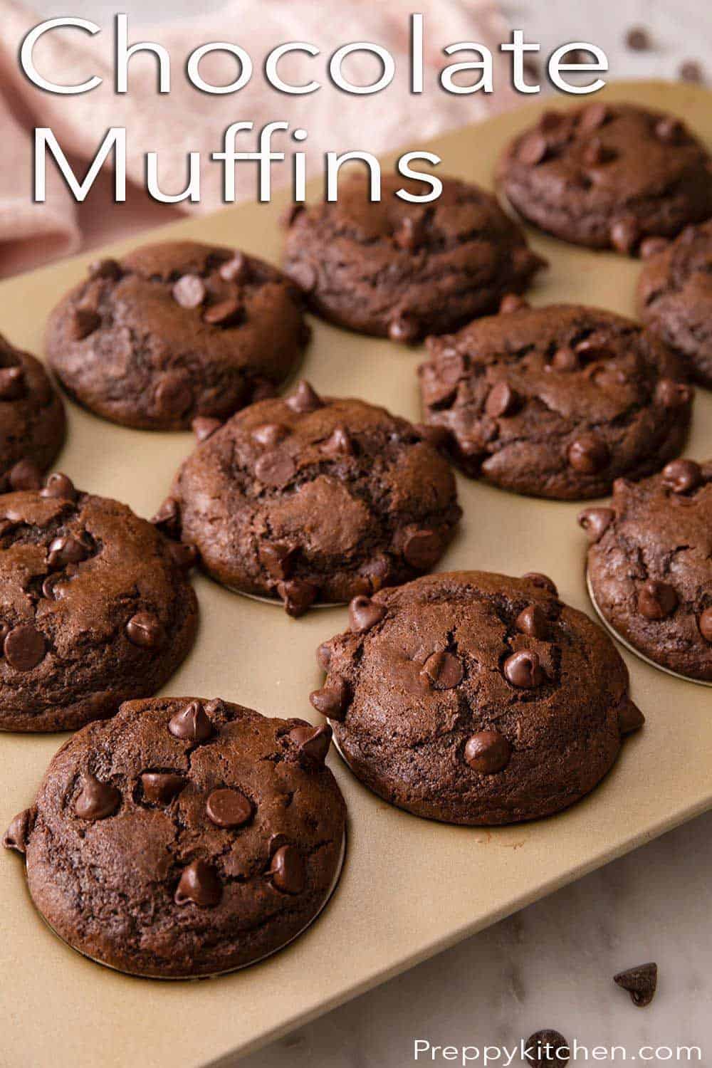 Chocolate Muffins - Preppy Kitchen