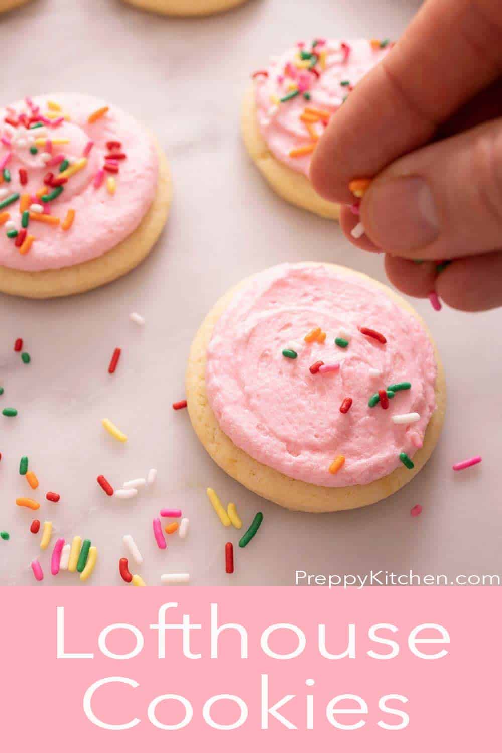 Lofthouse Cookies - Preppy Kitchen