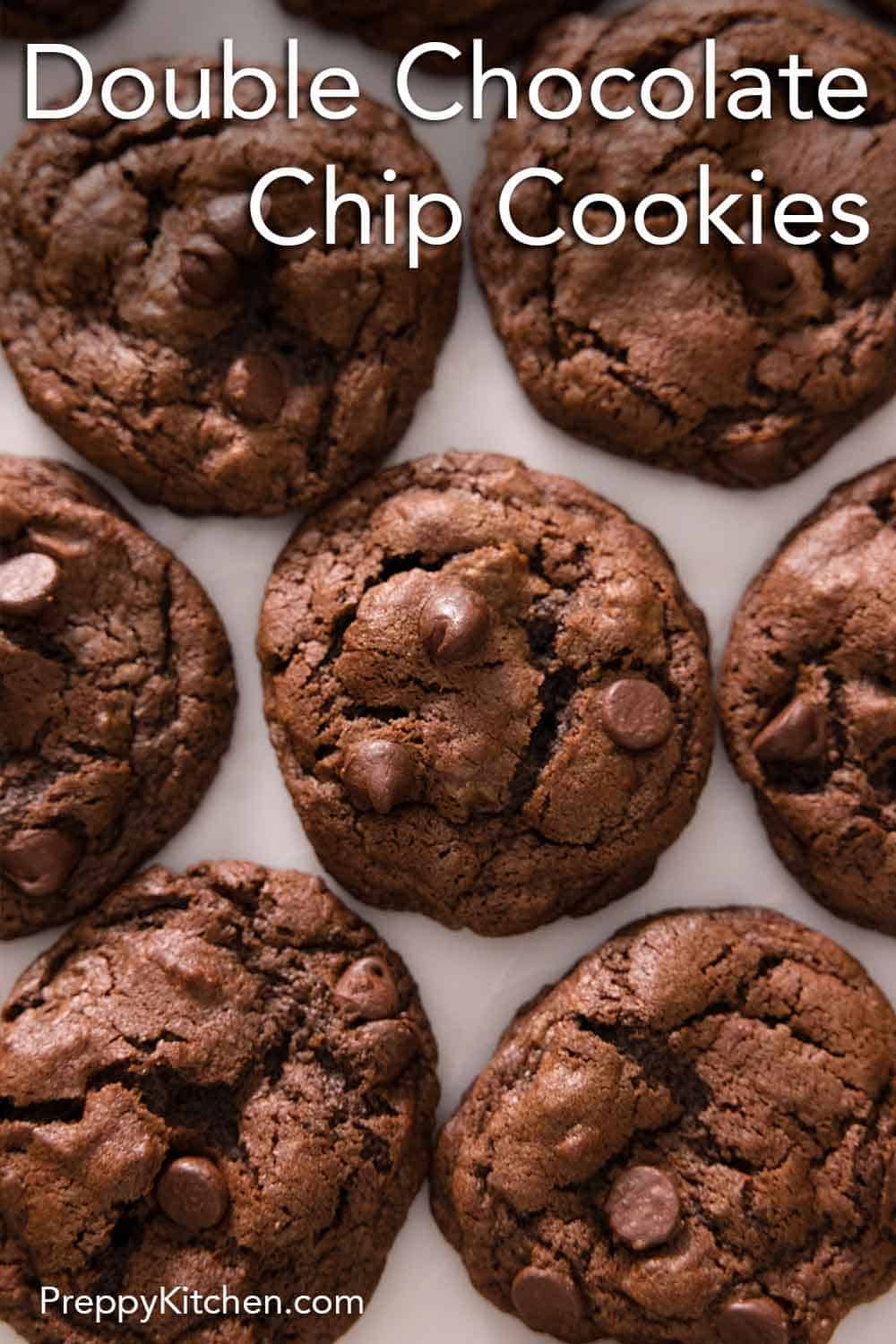 Double Chocolate Chip Cookies - Preppy Kitchen