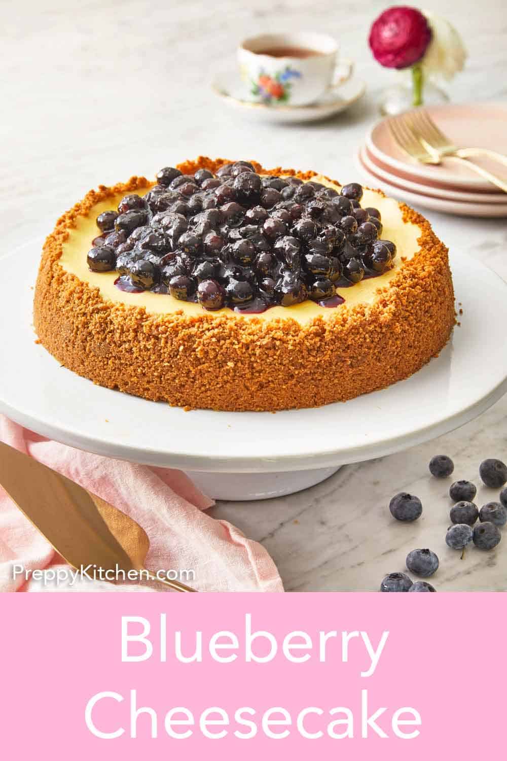 Blueberry Cheesecake Recipe - Preppy Kitchen