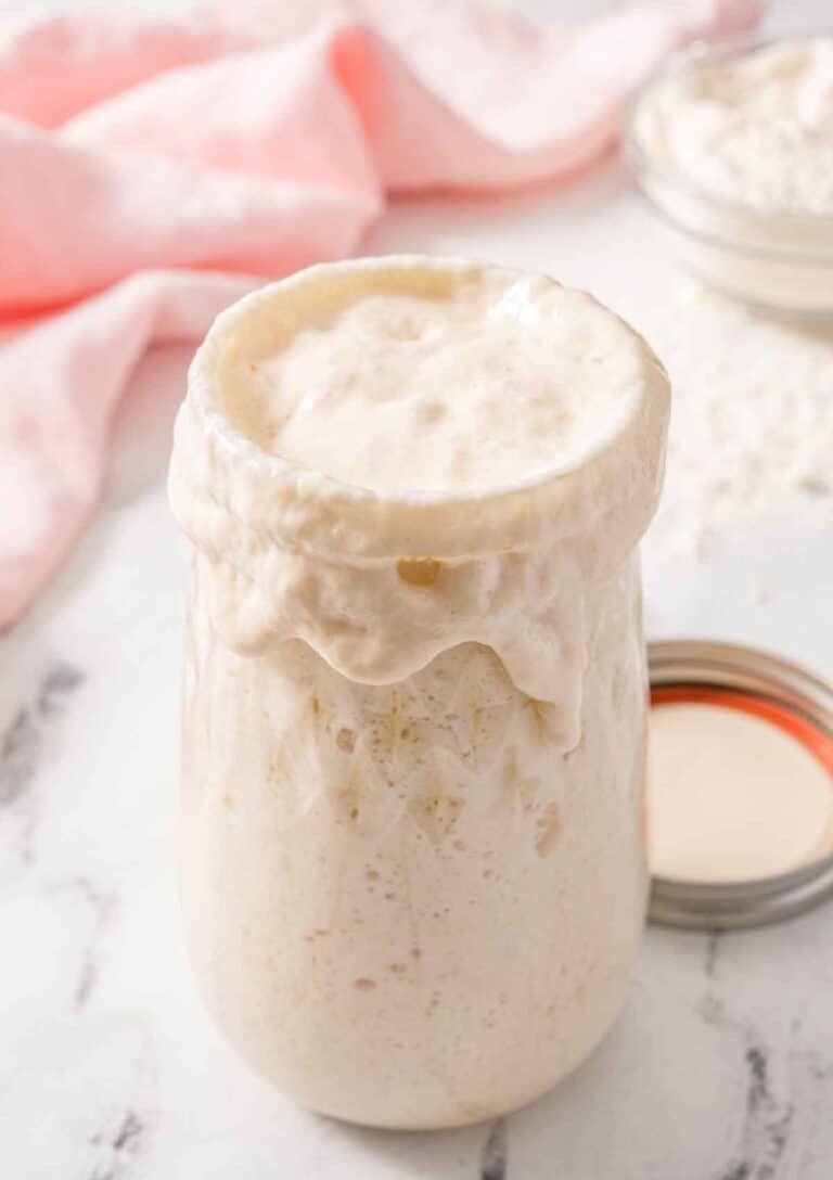 Sourdough Starter Preppy Kitchen sourdough-starter-preppy-kitchen