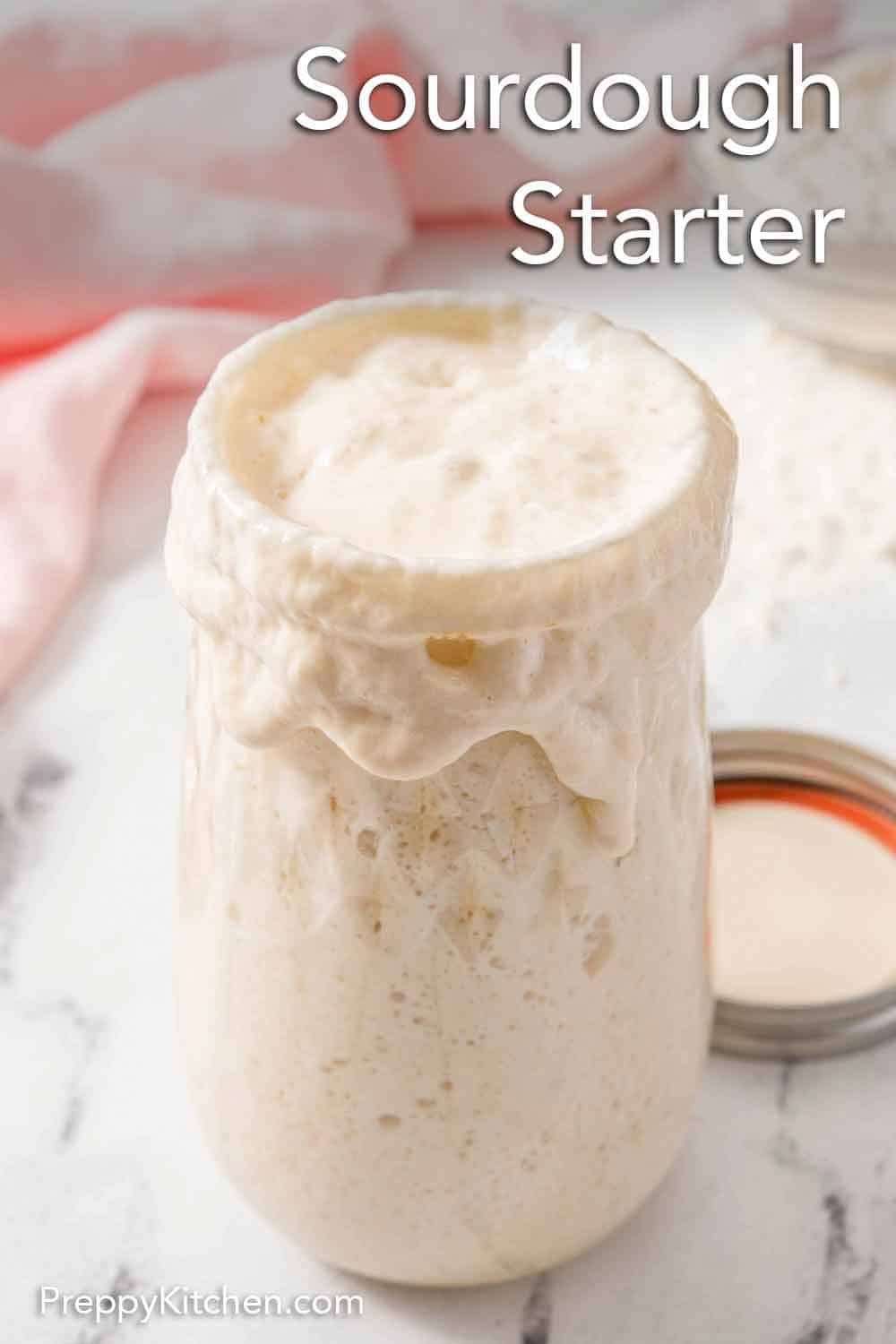 Sourdough Starter For Beginners (Daily Guide) - Preppy Kitchen