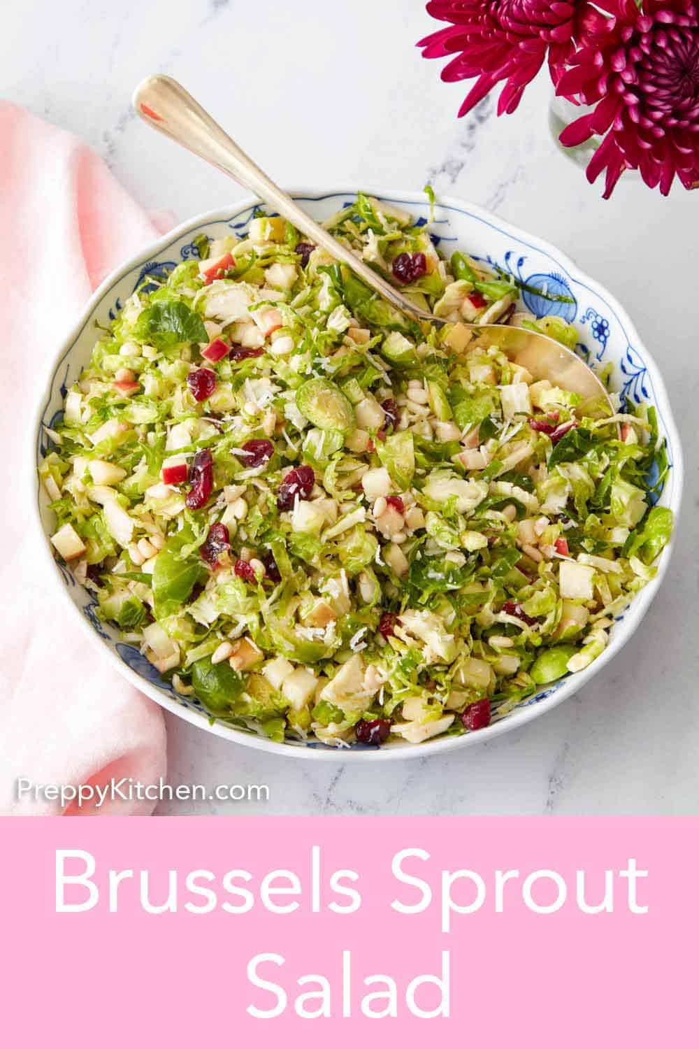 Brussels Sprout Salad - Preppy Kitchen