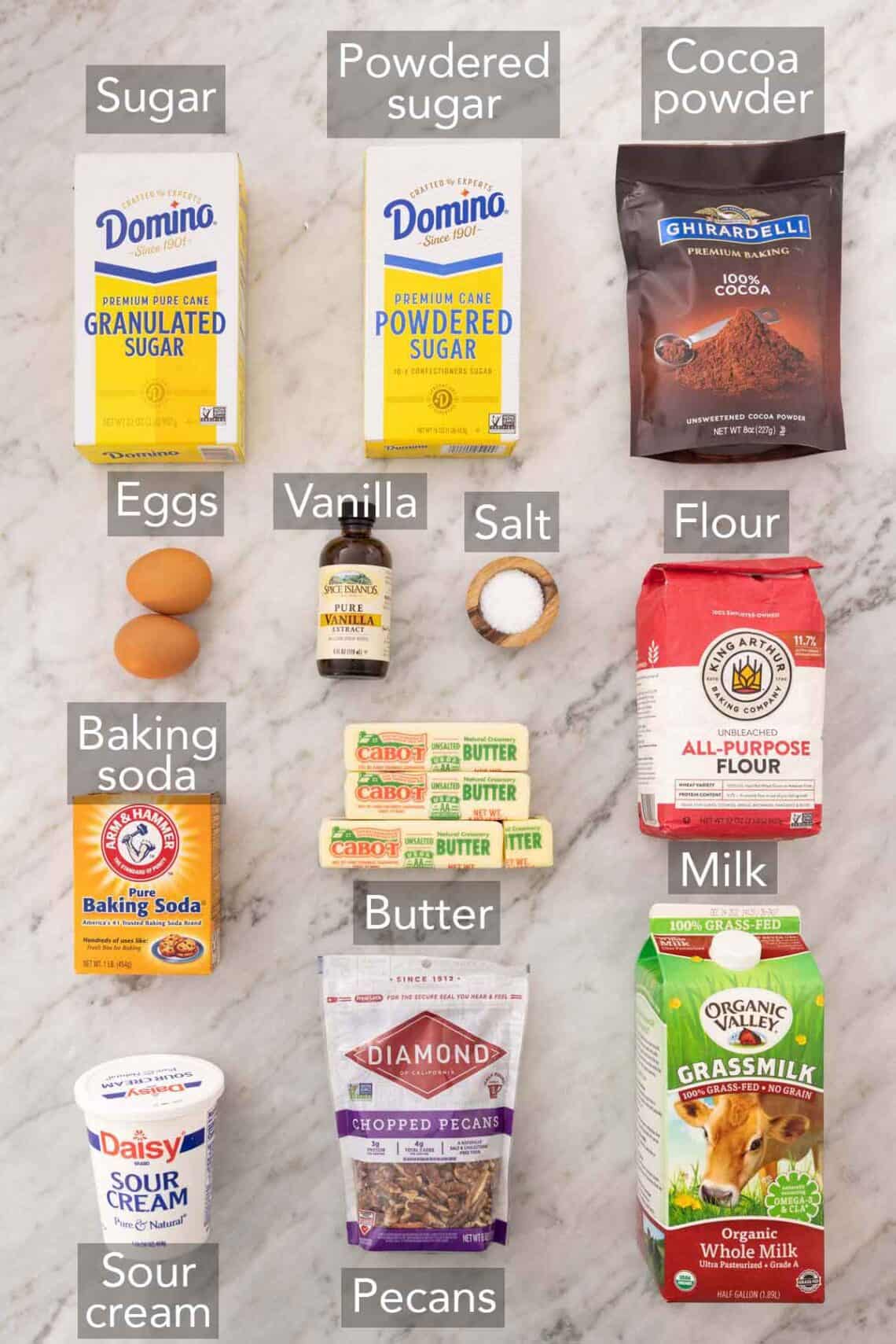 Easy Texas Sheet Cake (Moist & Fudgy) - Preppy Kitchen