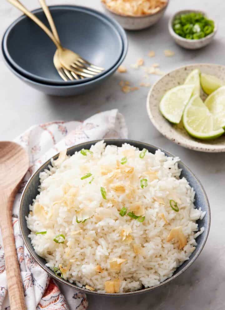 Easy Fried Rice Recipe - Preppy Kitchen
