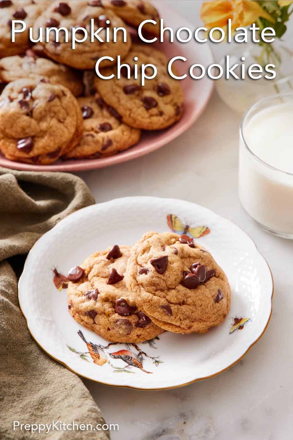 Pumpkin Chocolate Chip Cookies - Preppy Kitchen