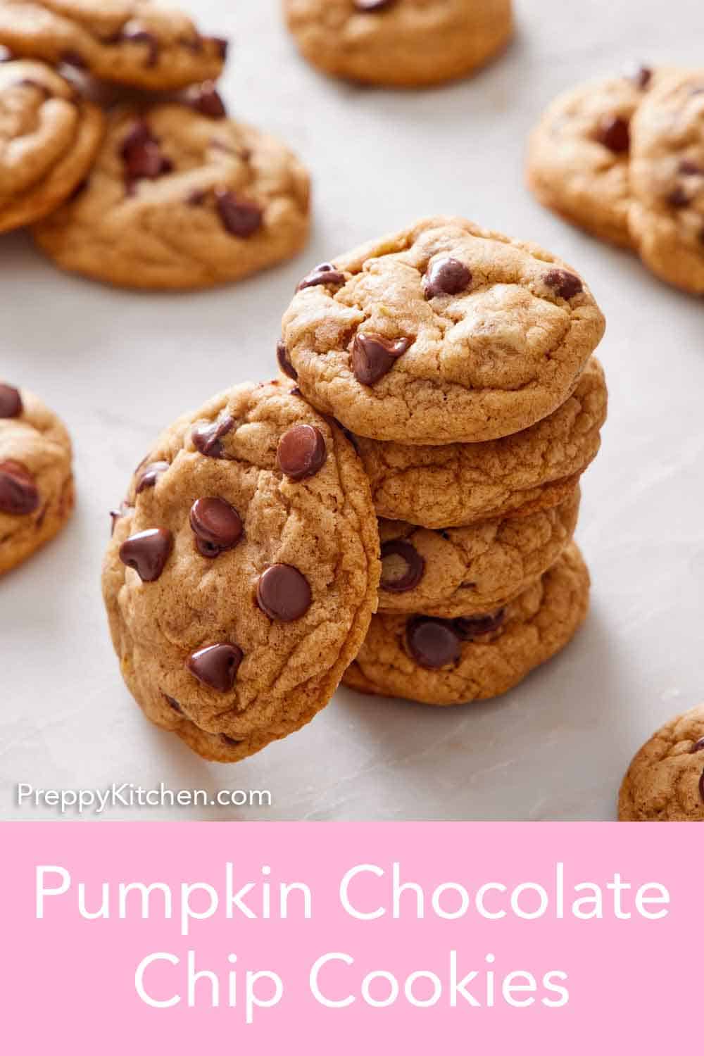 Pumpkin Chocolate Chip Cookies - Preppy Kitchen