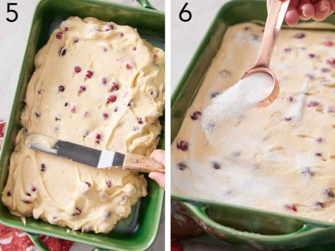 Cranberry Cake Recipe - Preppy Kitchen