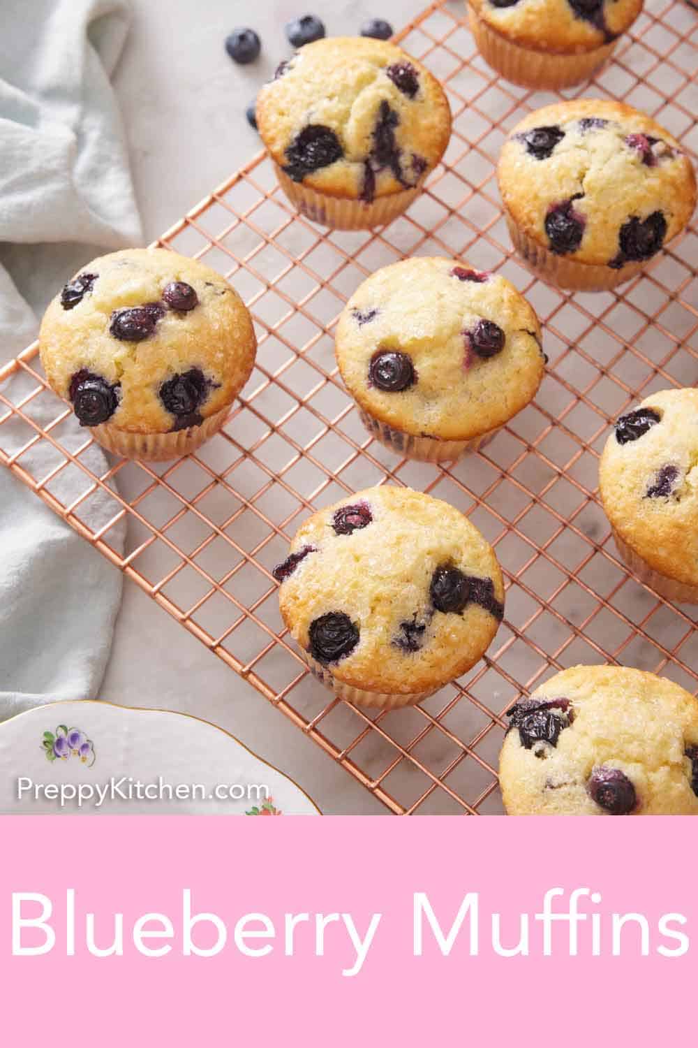 Blueberry Muffins Recipe - Preppy Kitchen