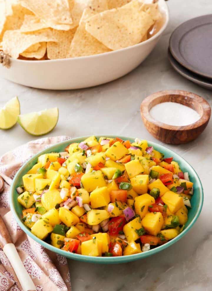 Salsa Recipe - Preppy Kitchen