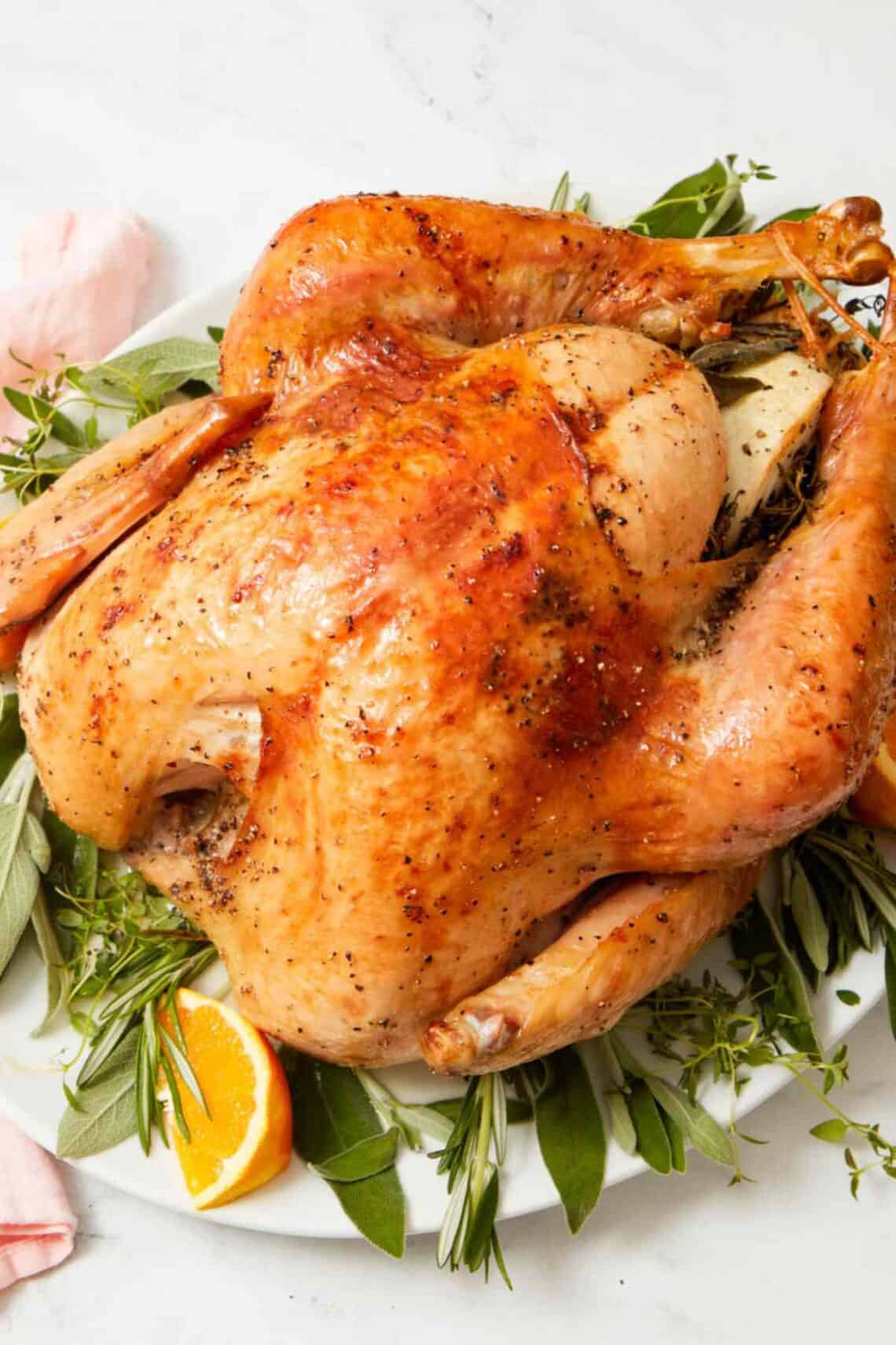 How To Cook A Turkey (Juicy, Crispy Skin) - Preppy Kitchen