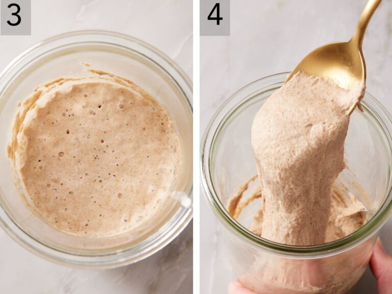 Sourdough Starter For Beginners (Daily Guide) - Preppy Kitchen