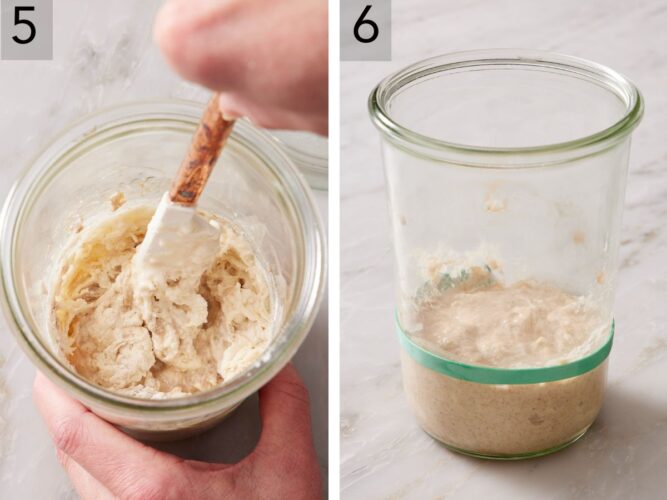 Sourdough Starter For Beginners (Daily Guide) - Preppy Kitchen