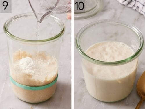 Sourdough Starter For Beginners (Daily Guide) - Preppy Kitchen